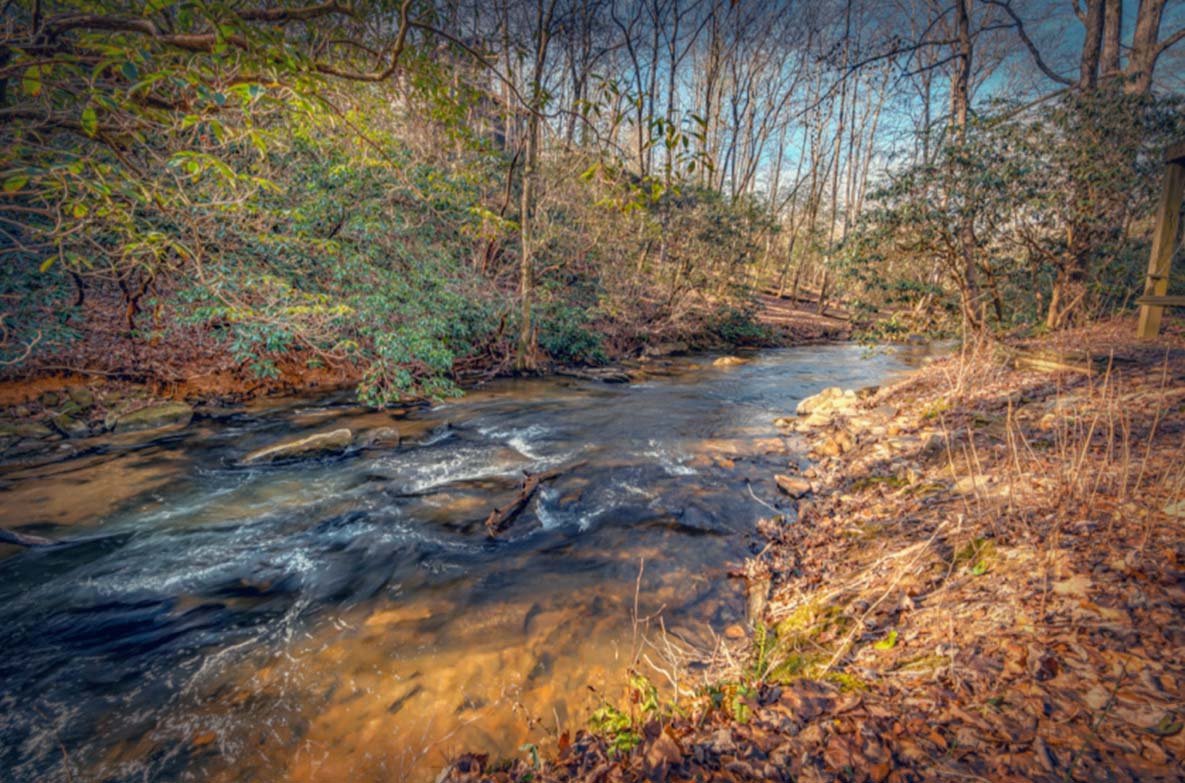 About Host – Gone Squatchin Creekside Cabin
